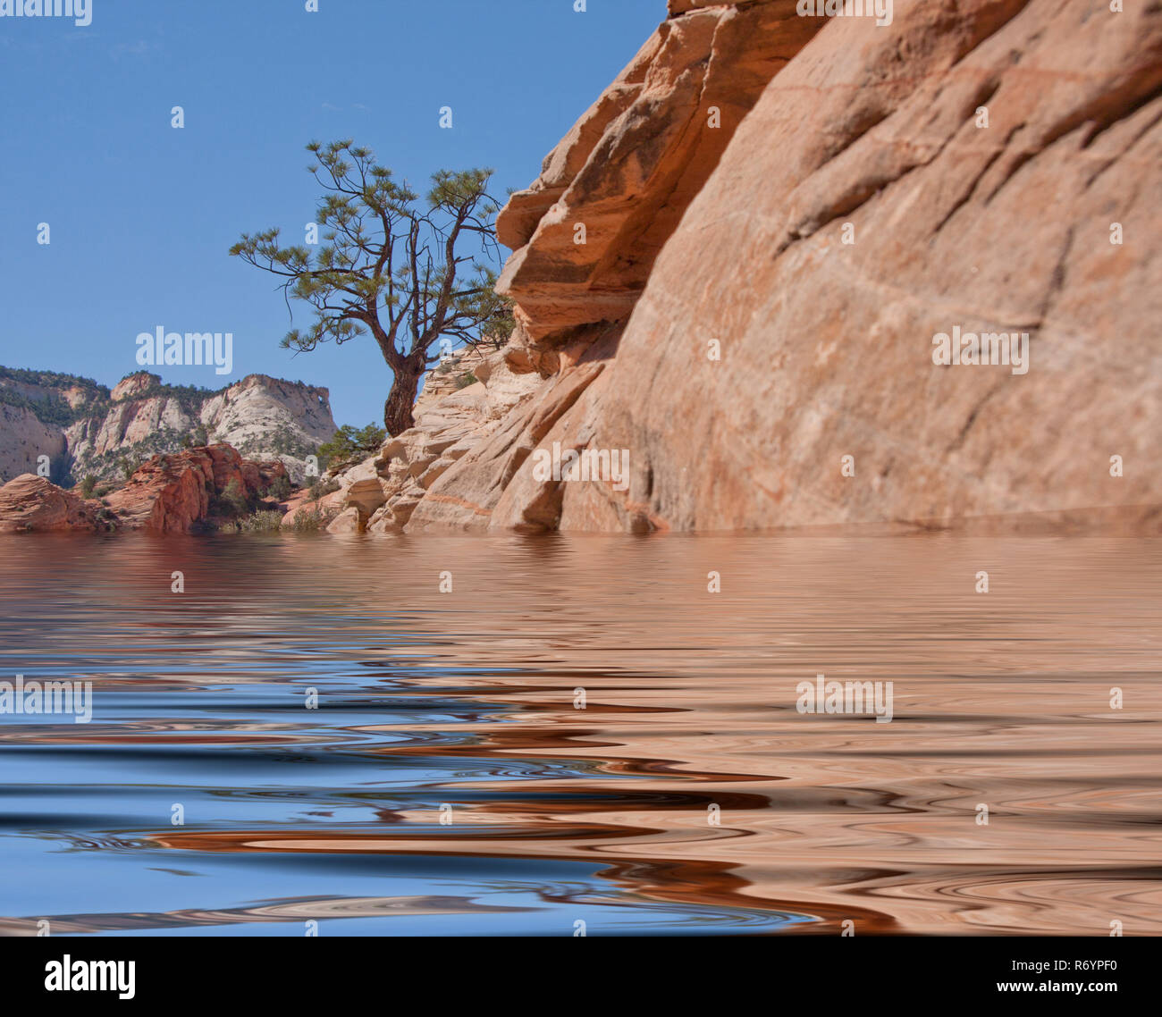 Surreal digital art. Pine on a rocky mountain. Quiet water surface ...
