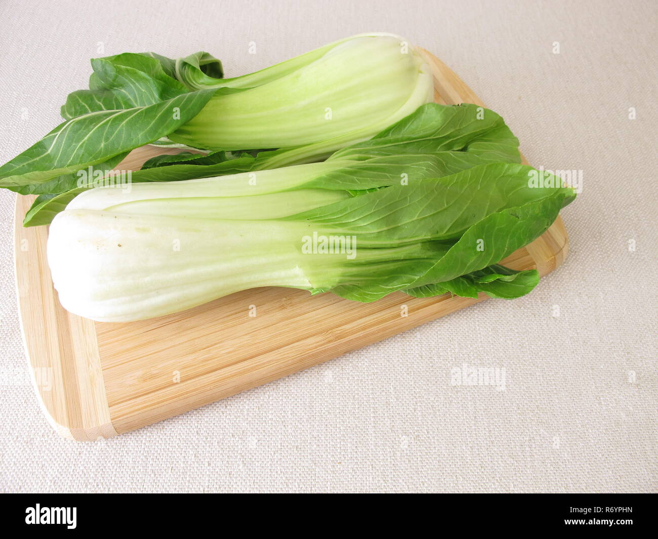 Shanghai Pak Choi Shanghai Senfkohl High Resolution Stock Photography ...