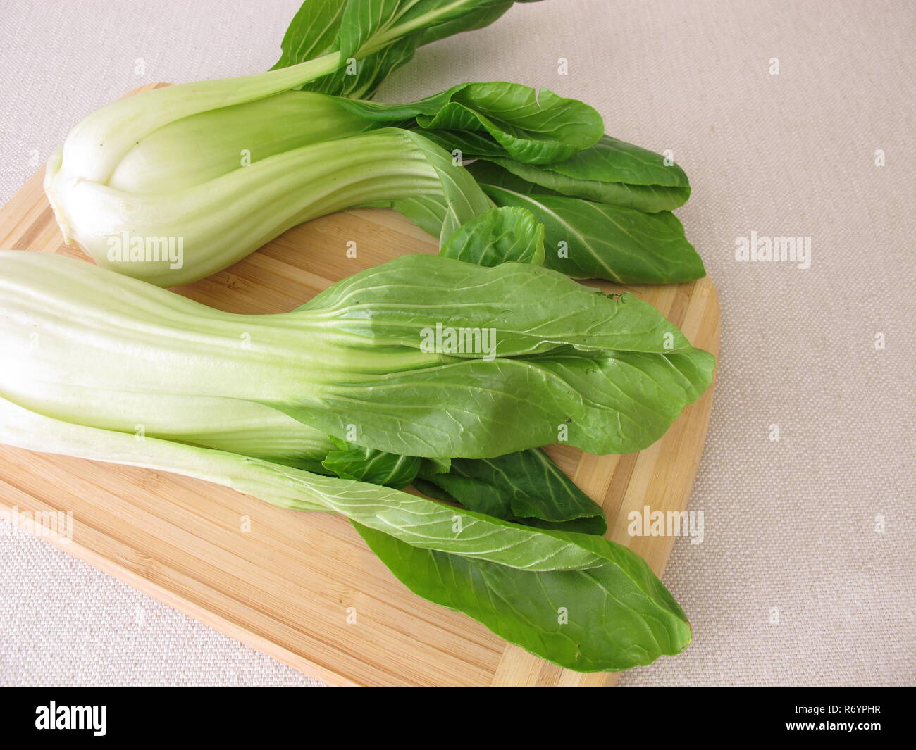 Shanghai Pak Choi Shanghai Senfkohl High Resolution Stock Photography ...