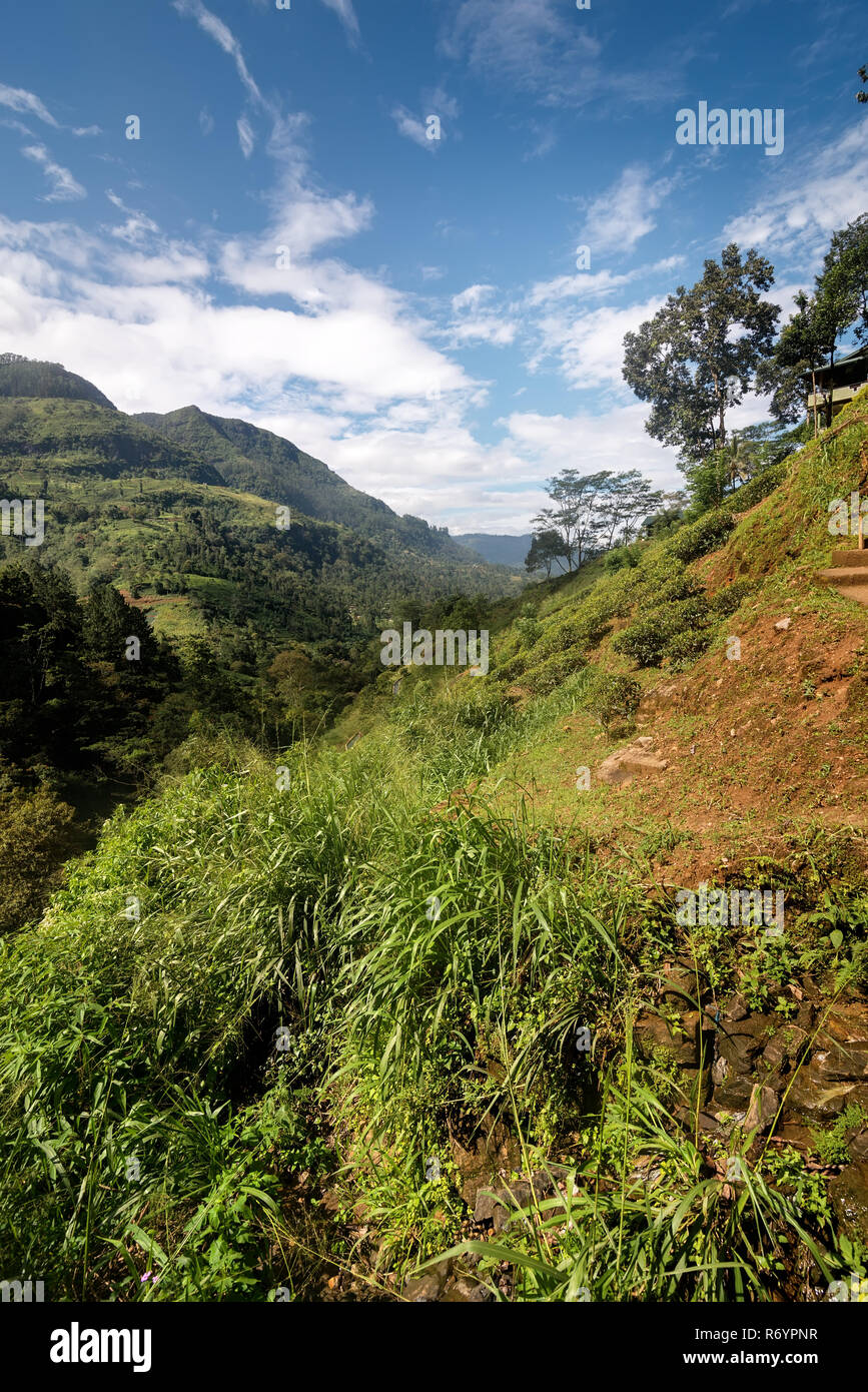 Landscape of Sri Lanka Stock Photo - Alamy