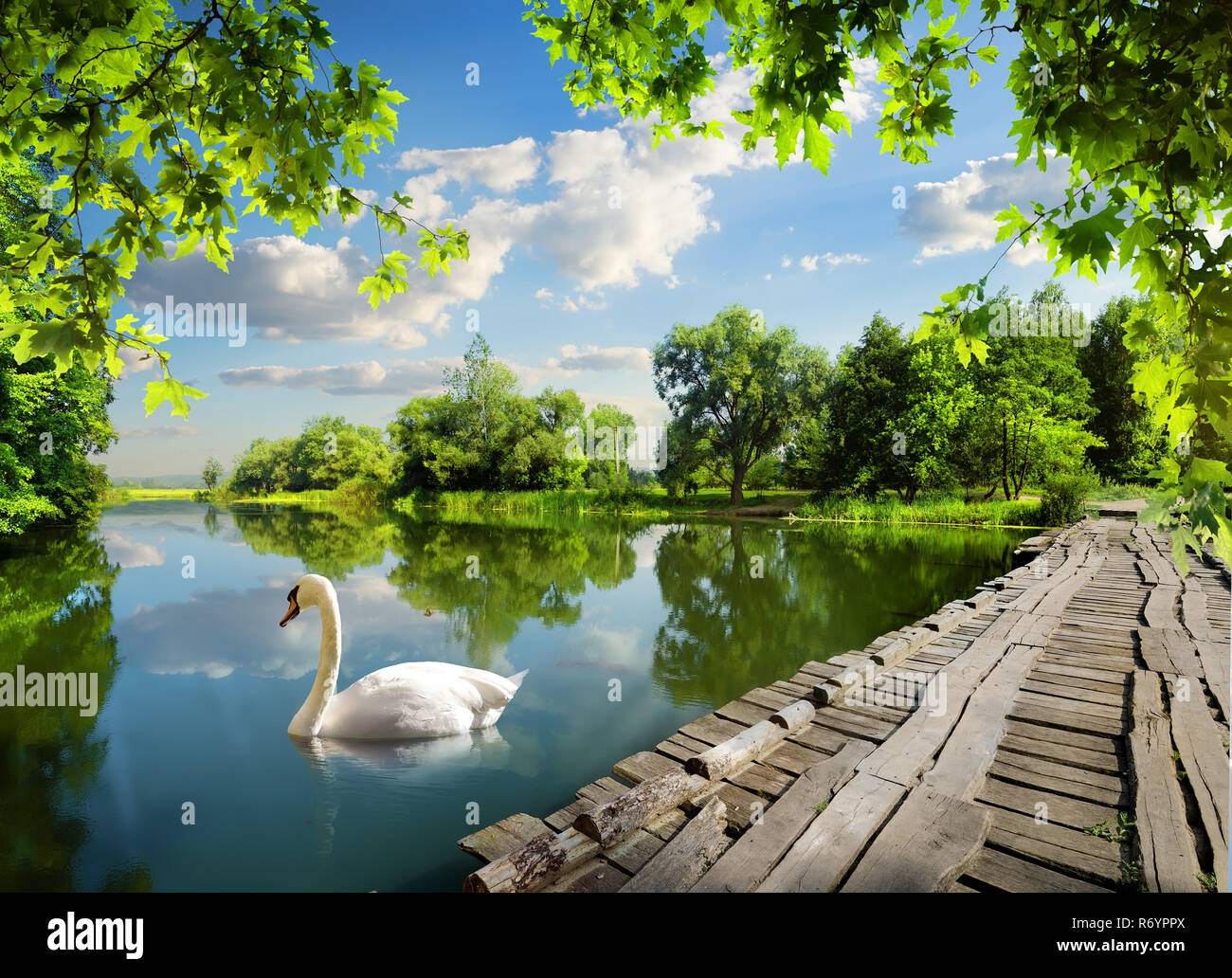 Bridge on the river Stock Photo - Alamy