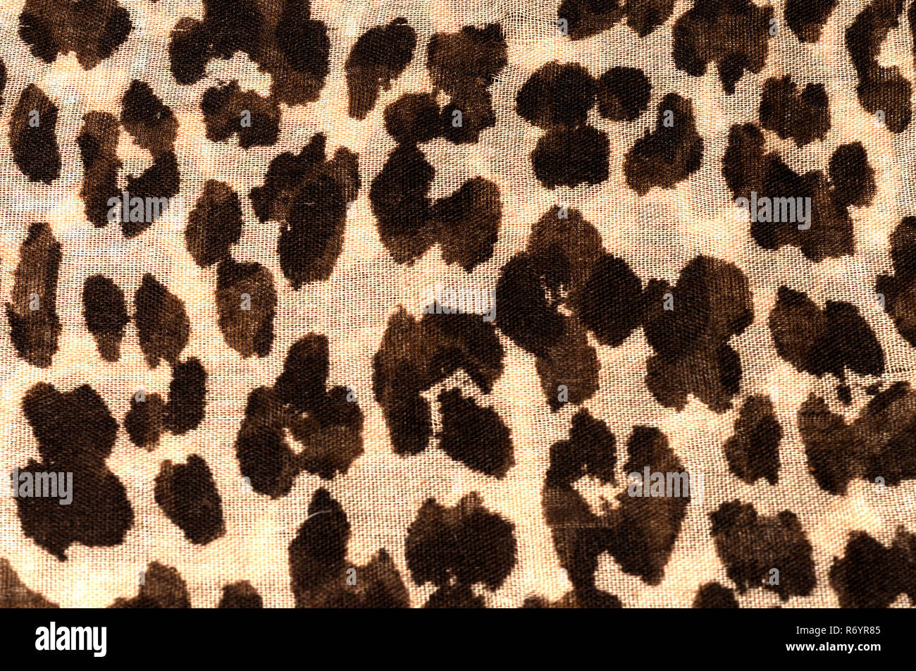 Cheetah abstract hi-res stock photography and images - Alamy