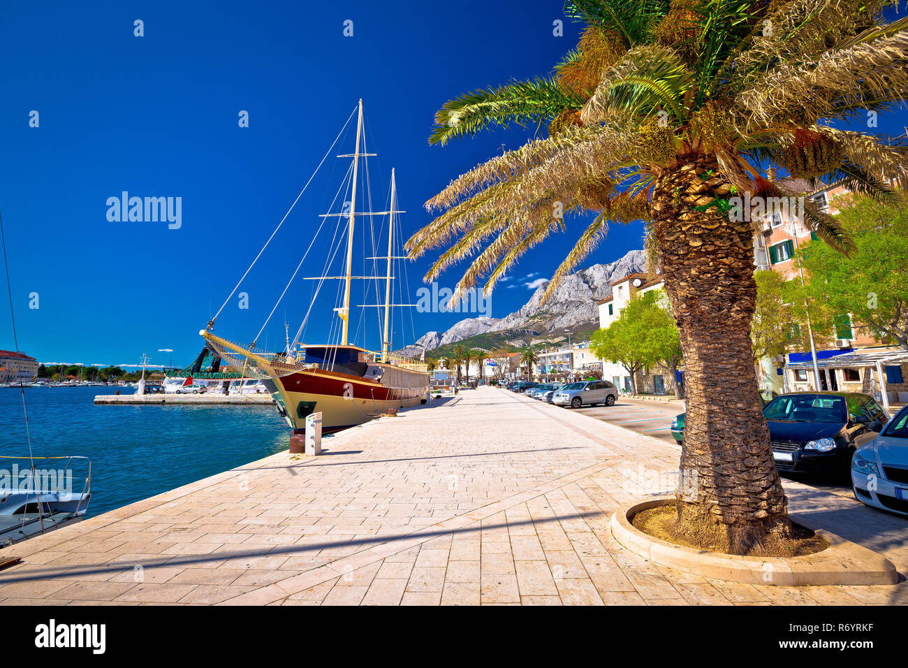 Makarska palm waterfront colorful view Stock Photo - Alamy