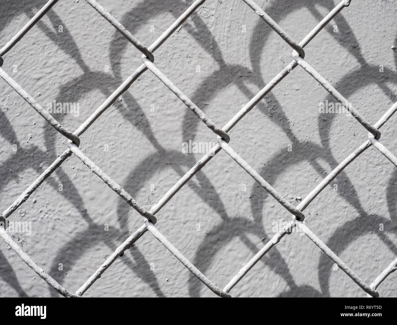 Square lattice hi-res stock photography and images - Alamy