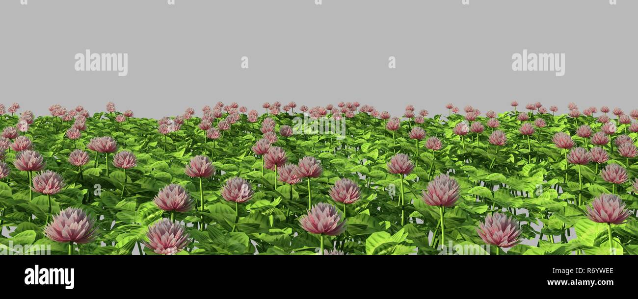 Green grass with flowers. isolated on white background 3d rendering ...