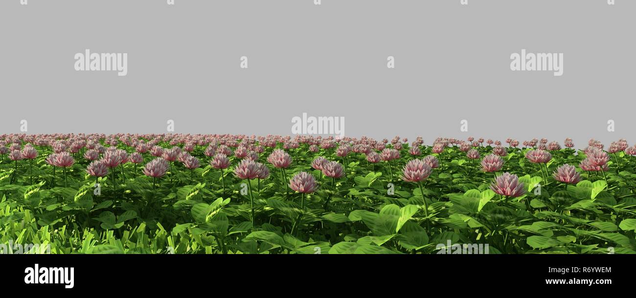 Green grass with flowers. isolated on white background 3d rendering ...