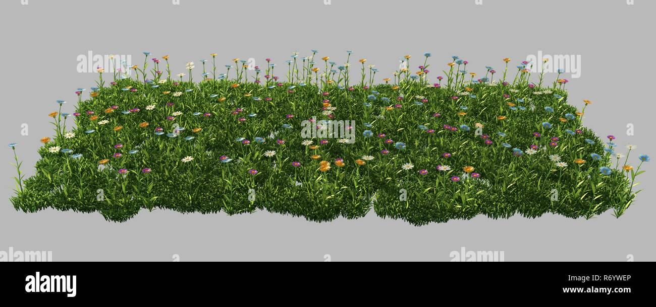 Green grass with flowers. isolated on white background 3d rendering ...