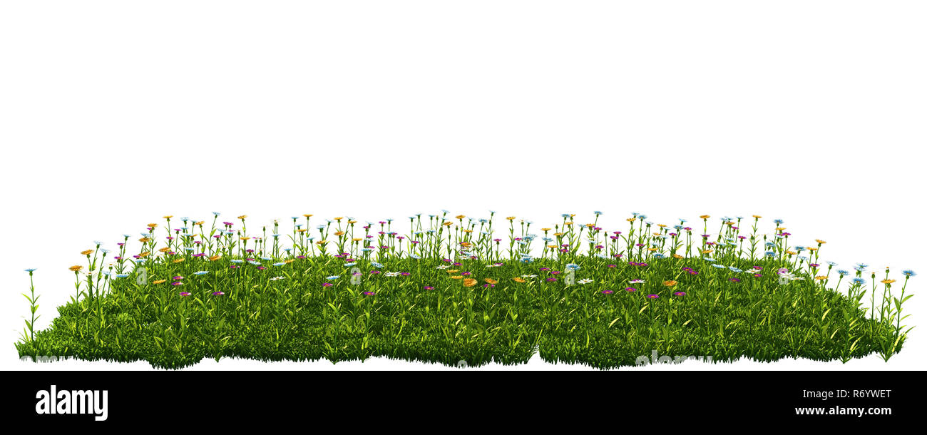 Green grass with flowers. isolated on white background 3d rendering ...