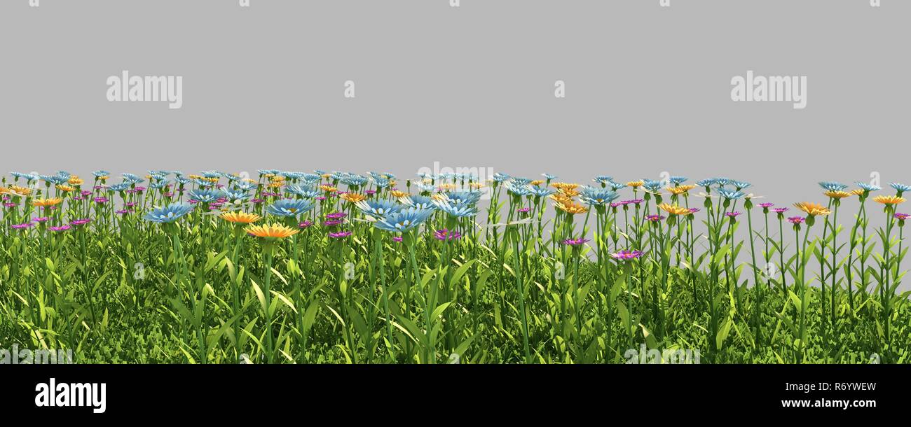 Green grass with flowers. isolated on white background 3d rendering ...