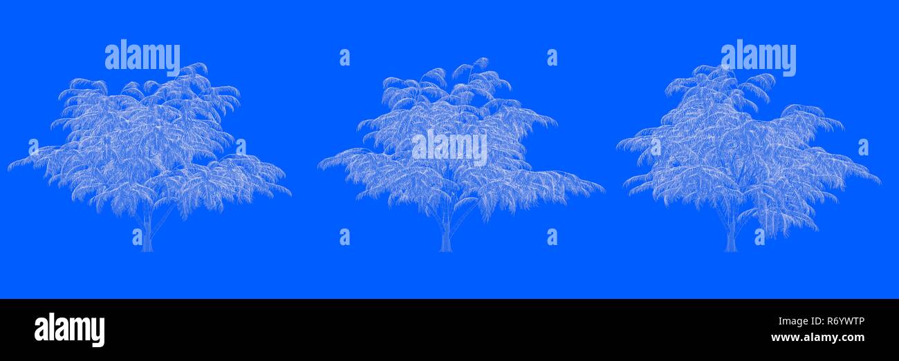 3d rendering of three trees as lines on a blue background Stock Photo ...