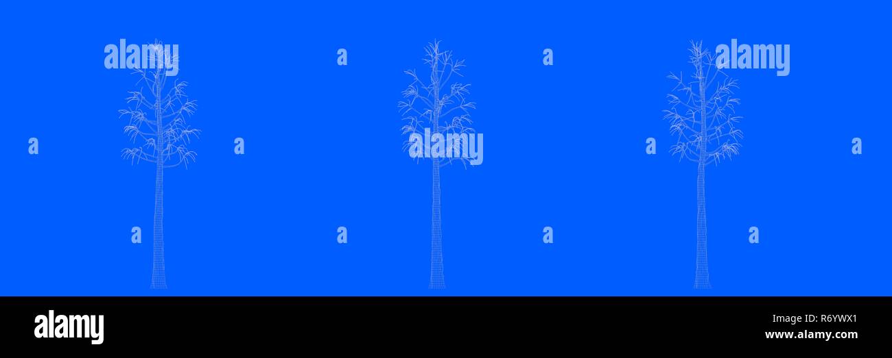 3d rendering of three trees as lines on a blue background Stock Photo ...