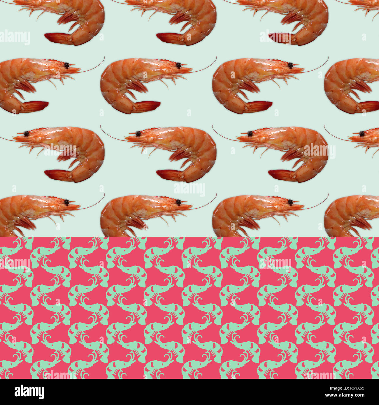 Shrimp crustacean hi-res stock photography and images - Alamy