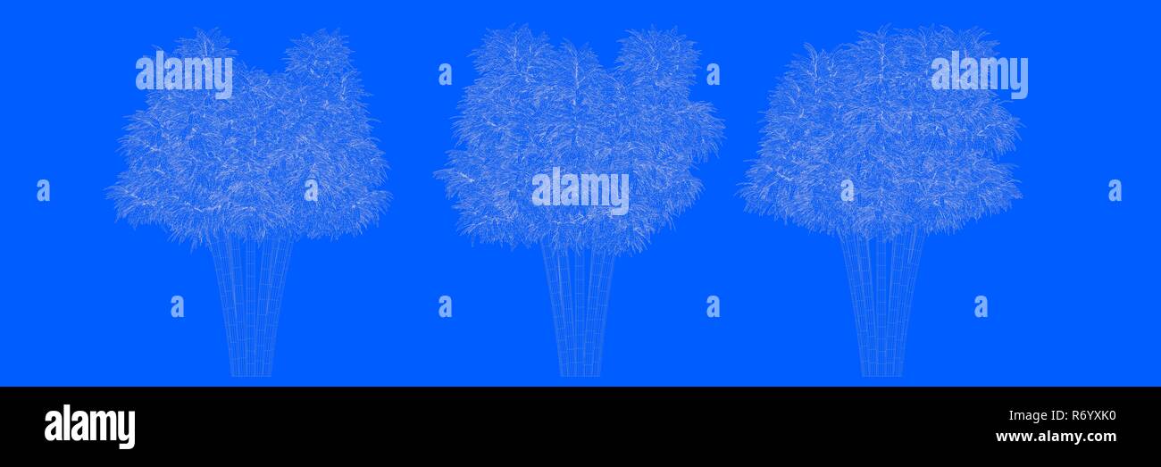 3d rendering of three trees as lines on a blue background Stock Photo ...