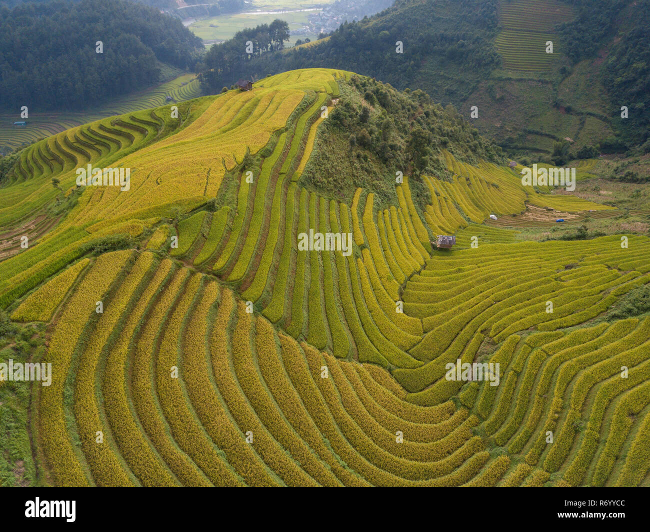 Aerial view of Vietnam landscapes. Rice fields on terraced of Mu Cang ...