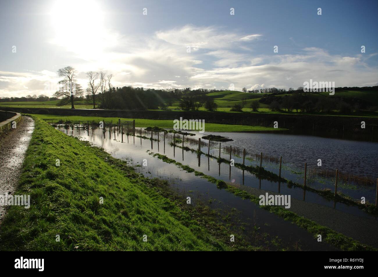 Lush Green Rolling Hills with Woodland. Devon Farming Landscape, by a ...