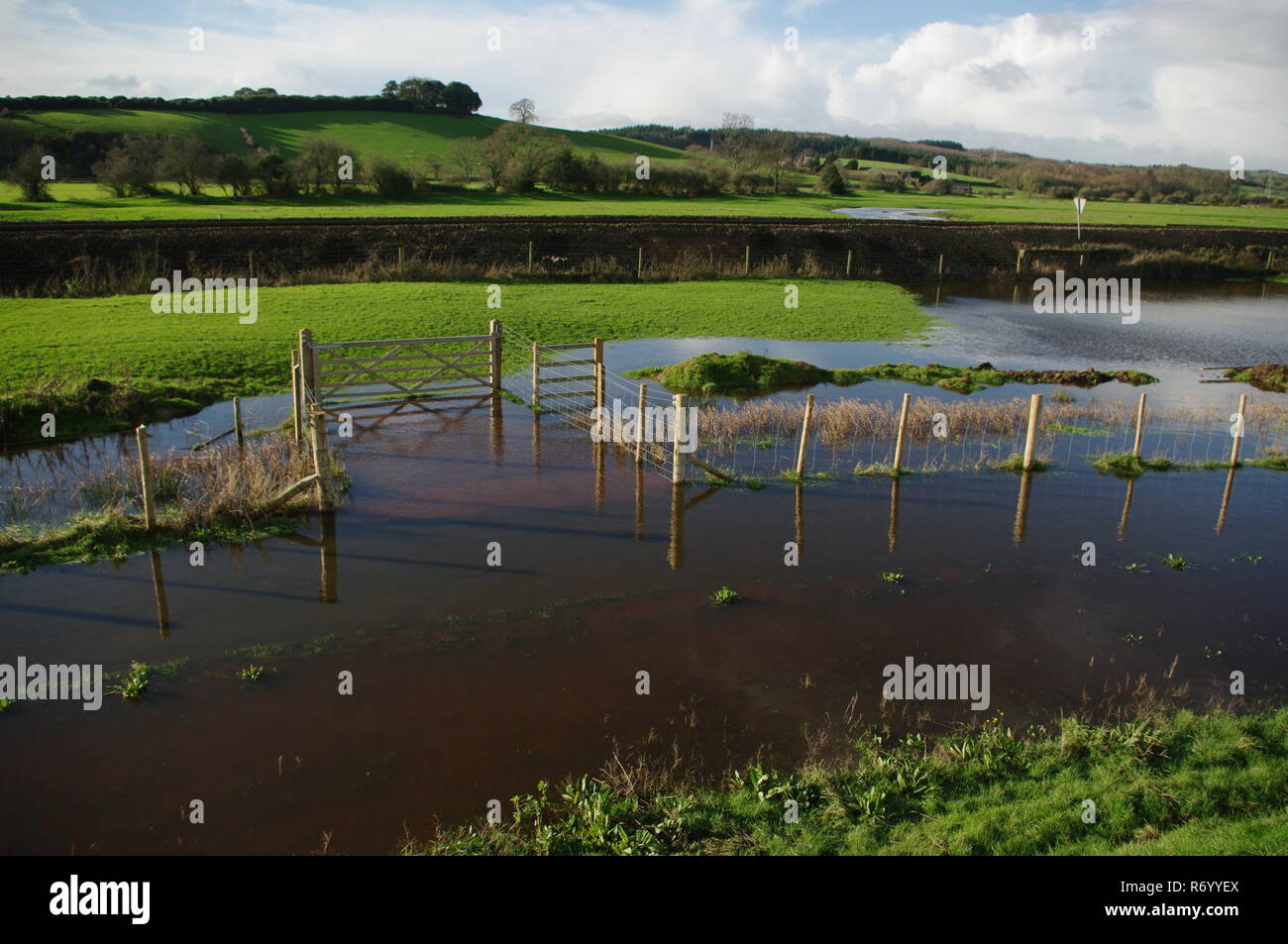 Lush Green Rolling Hills with Woodland. Devon Farming Landscape, by a ...
