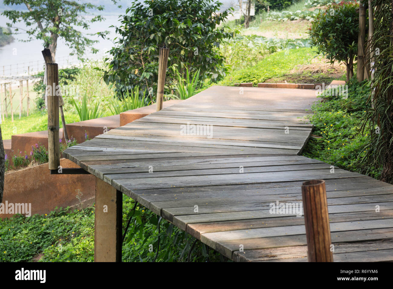 Wooden walkway with tropical garden Stock Photo - Alamy