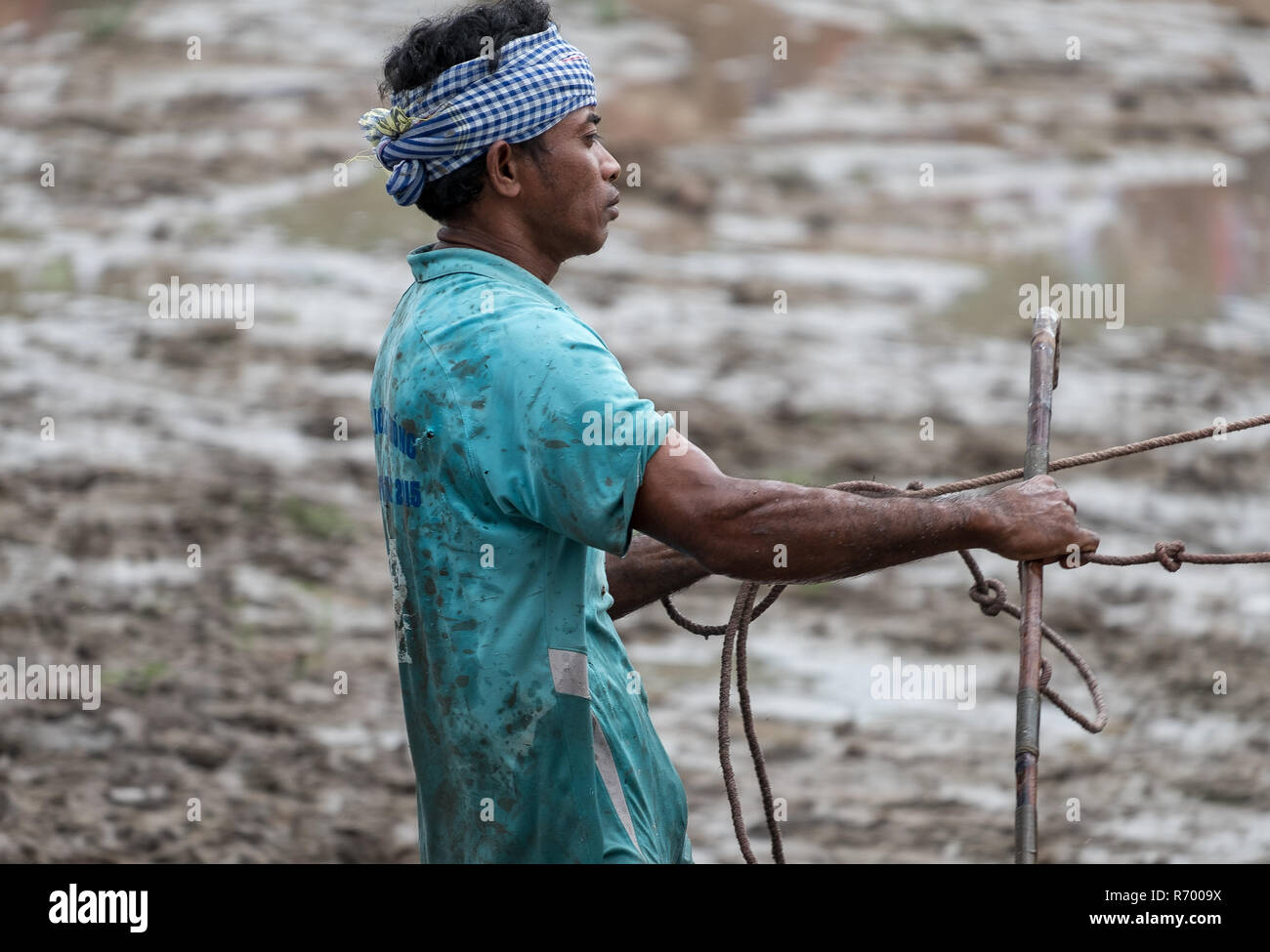 Bull race kerala hi-res stock photography and images - Alamy