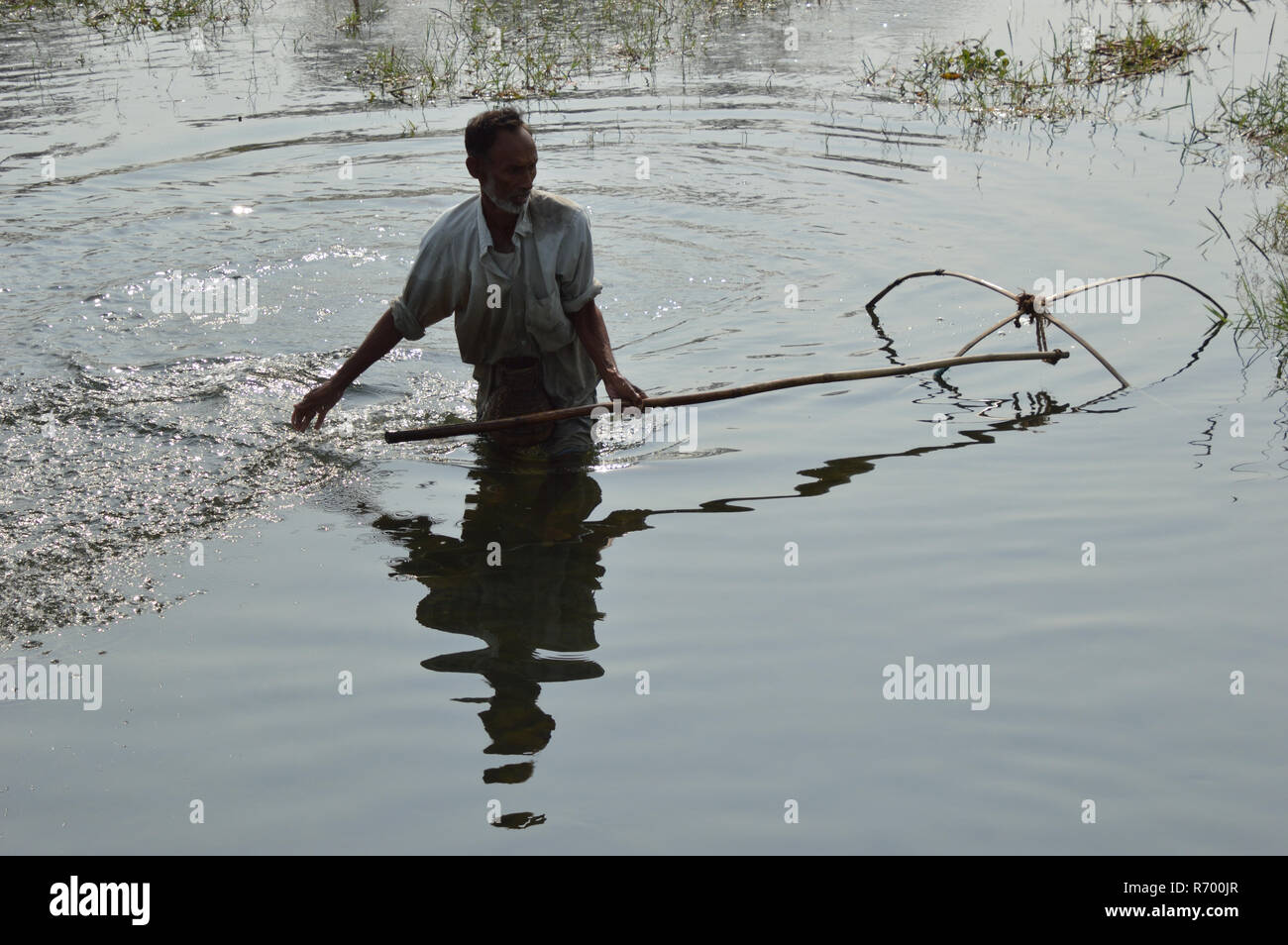 Fisherman catches small fishes using lift net from canal at Mangalbari ...