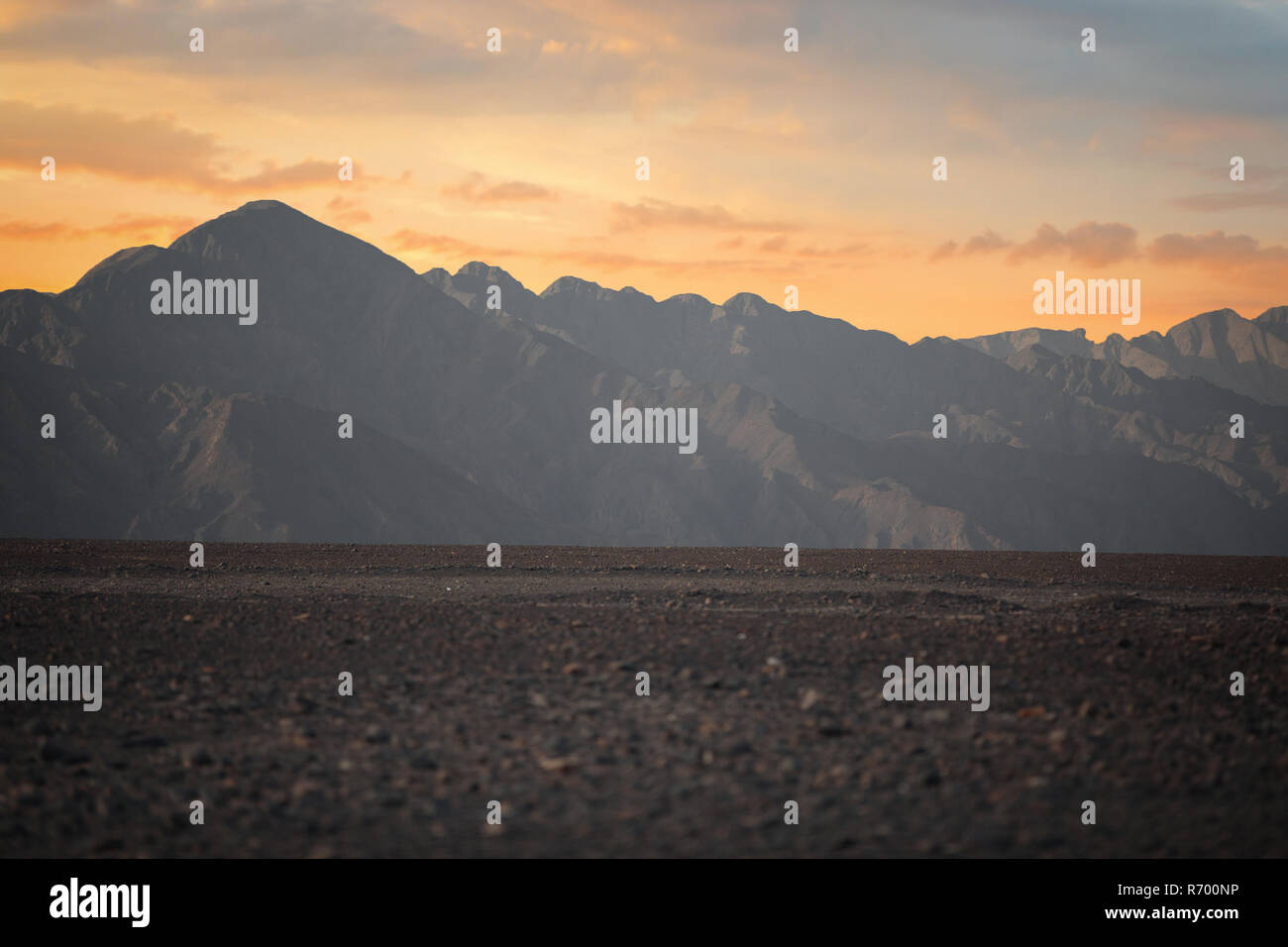 Puna peru grassland hi-res stock photography and images - Alamy