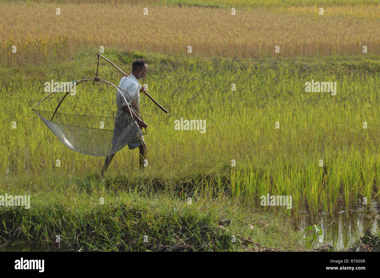 Bengali fisherman hi-res stock photography and images - Alamy