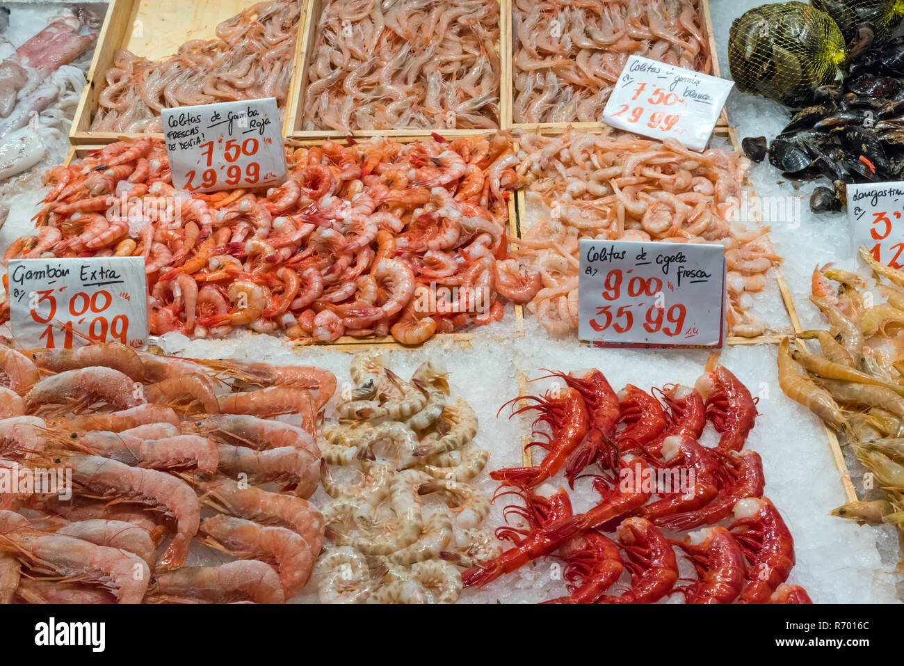 different types of shrimp for sale in a market Stock Photo - Alamy