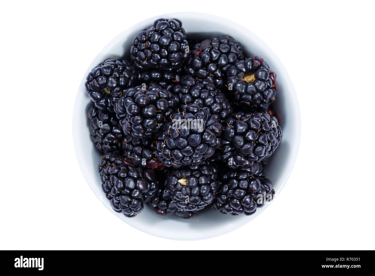 isolated blackberries berries isolated from above Stock Photo - Alamy