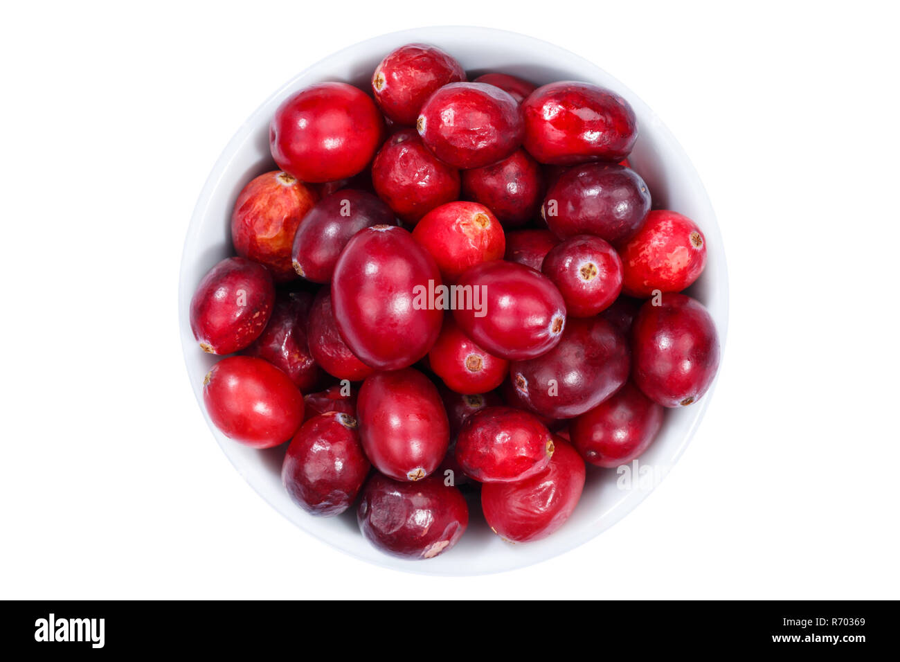 cranberries cranberries cranberries isolated from above isolated cut ...