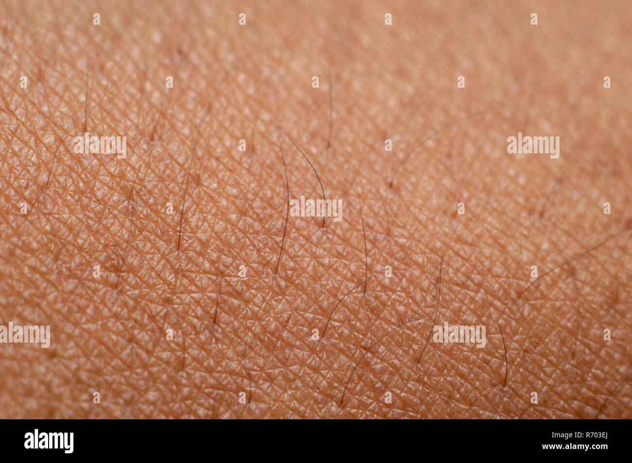 surface human hand arm skin texture close-up Stock Photo - Alamy
