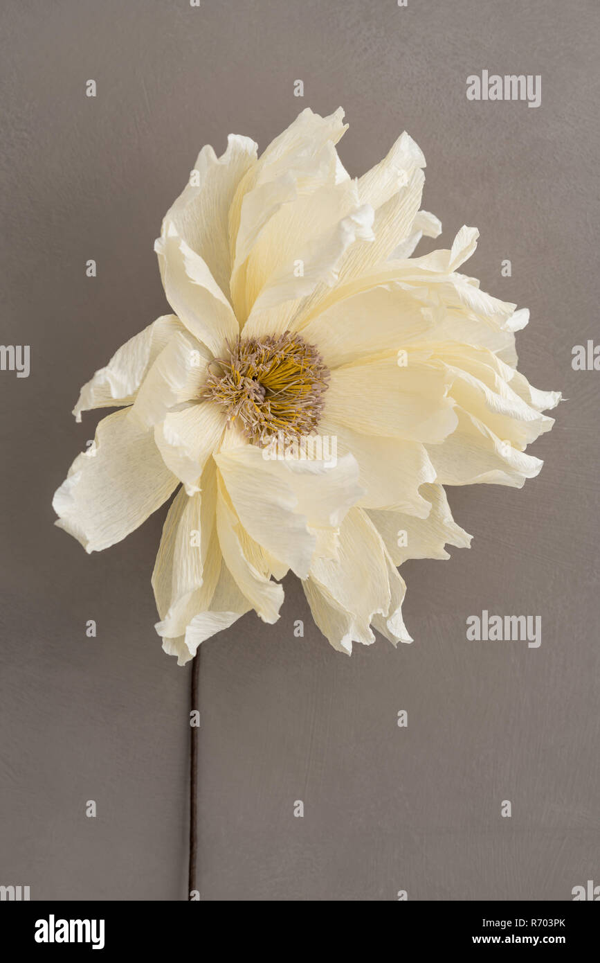 Faded charm hi-res stock photography and images - Alamy