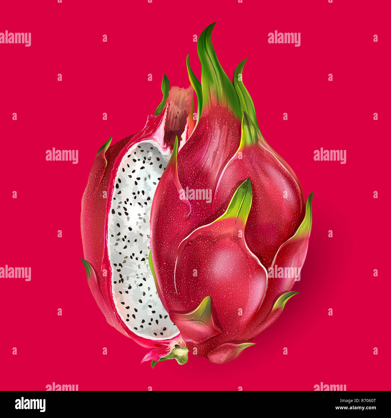 Dragon fruit. Vector illustration Stock Photo - Alamy