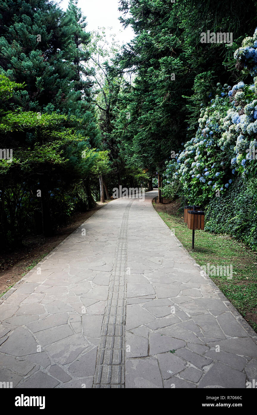 Black lake park road blind track vegetation city Gramado Brazil Stock ...