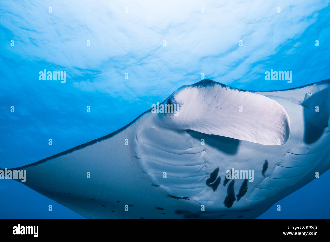 Yap island hi-res stock photography and images - Alamy