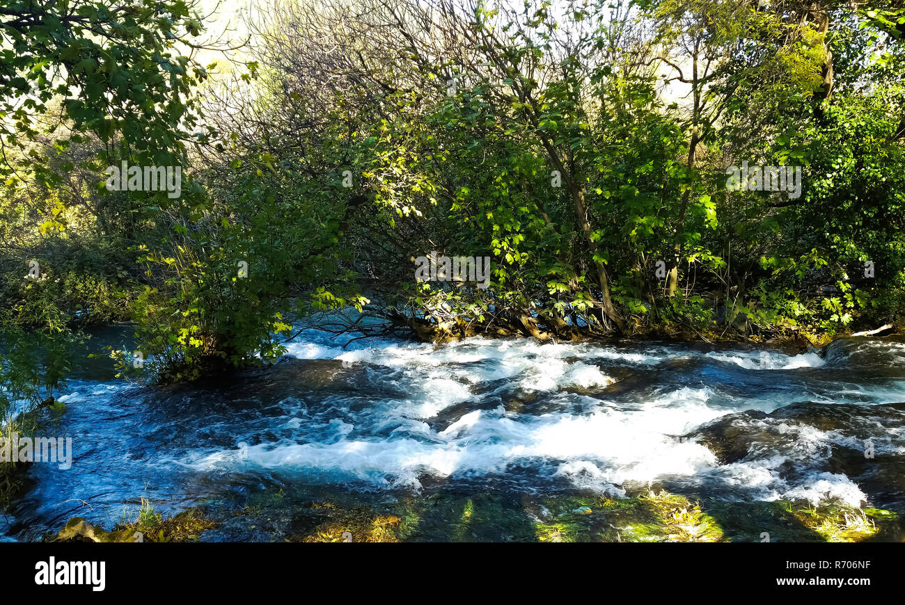 Croatian nature - forest, lakes, waterfalls in Krka National Park Stock ...