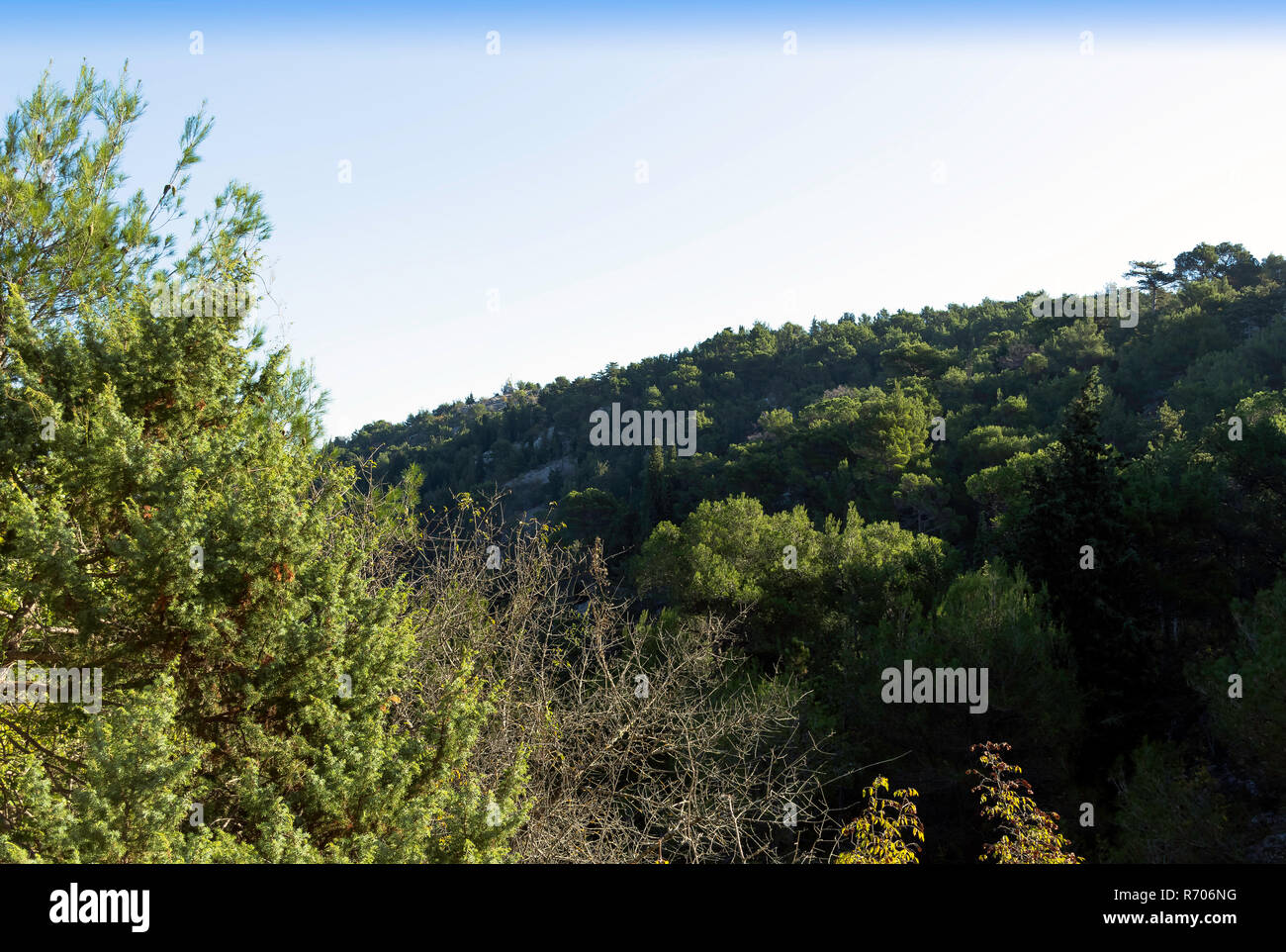 Croatian nature - forest, lakes, waterfalls in Krka National Park Stock ...