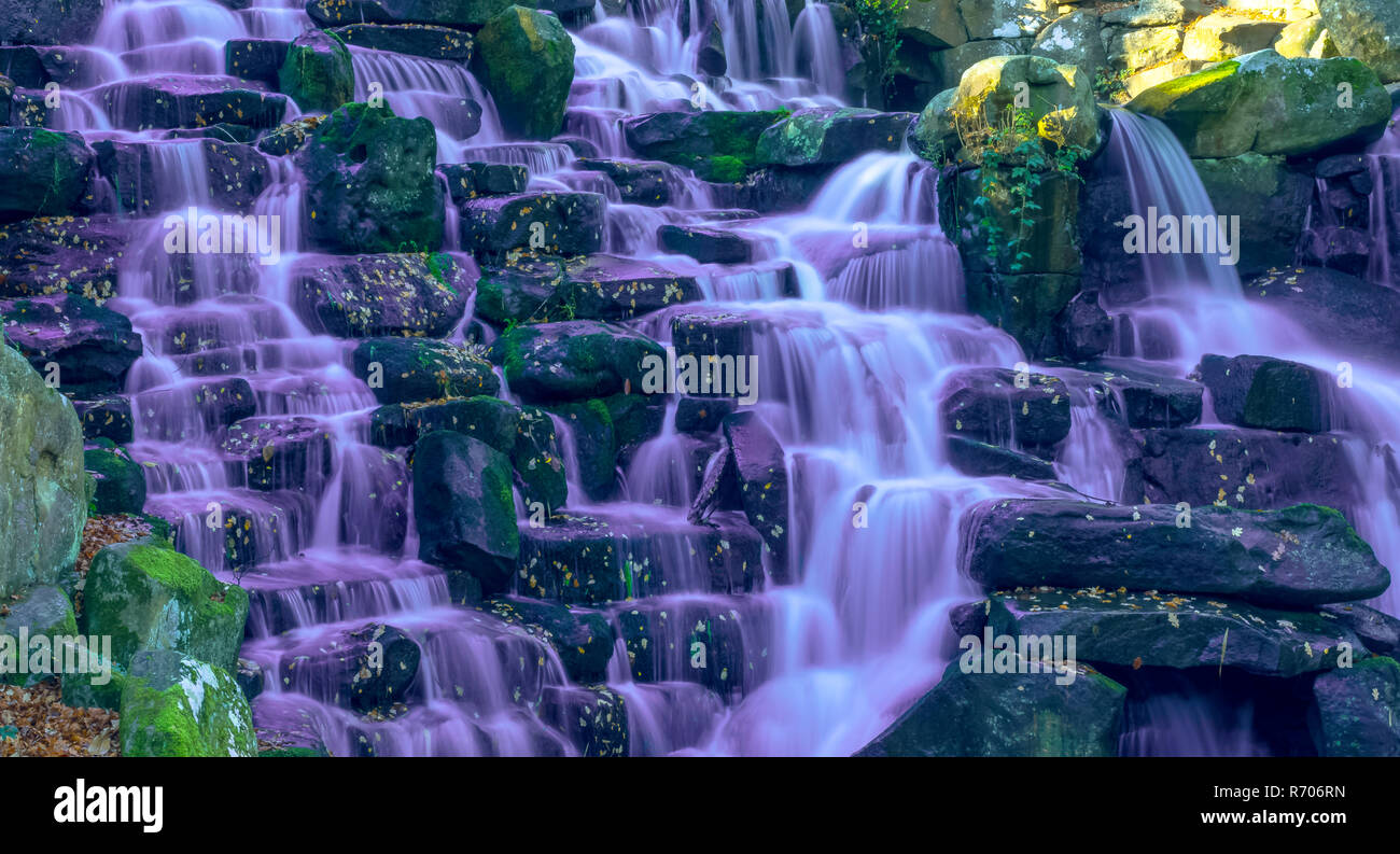 The Ornamental Cascade waterfall with purple water in Virginia Water ...