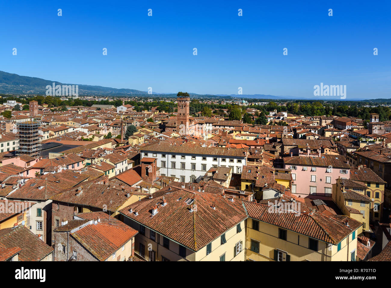 View on old city with Guinigi Tower from Torre delle Ore clock tower in ...