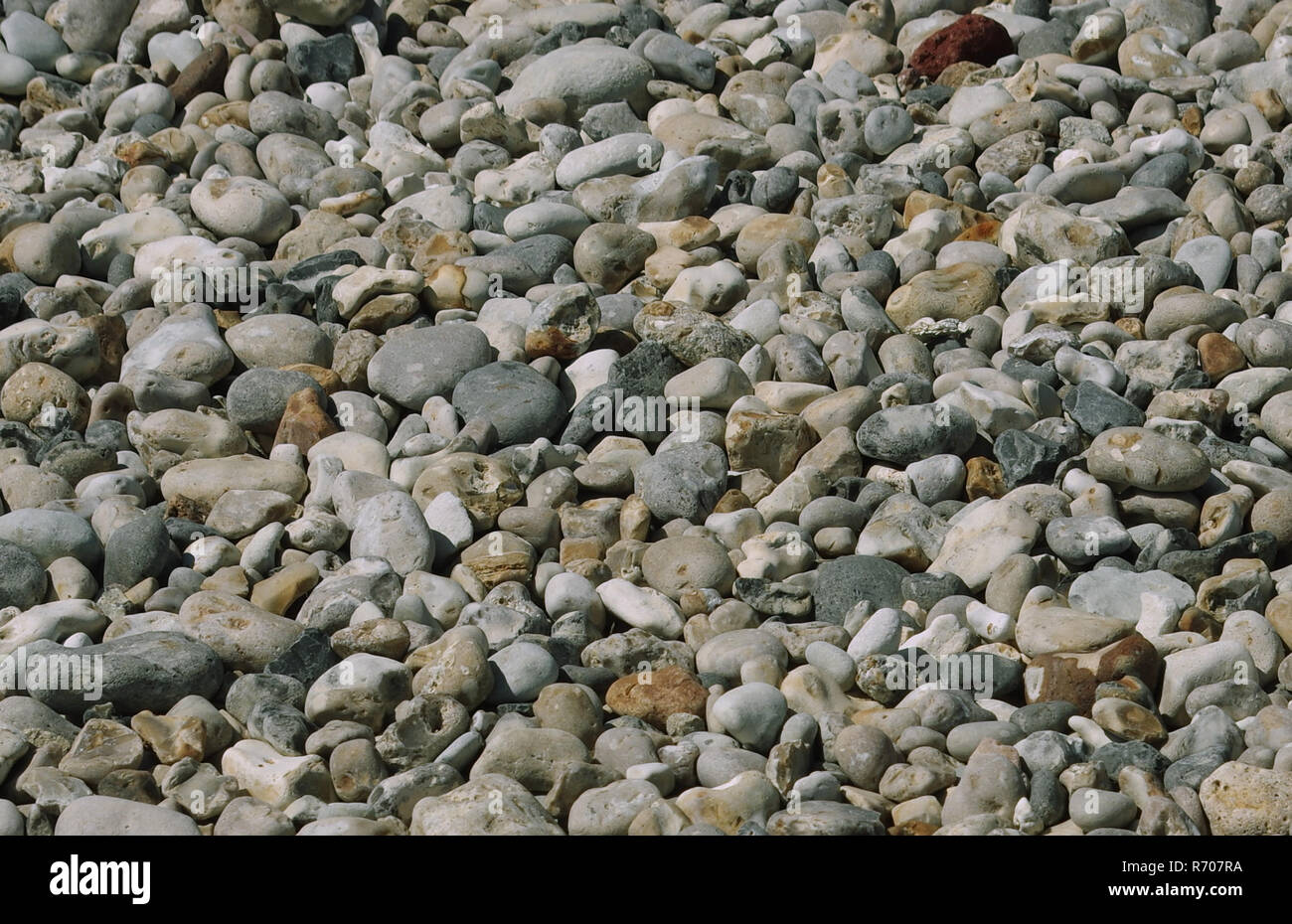 Detail of a pebble beach Stock Photo - Alamy