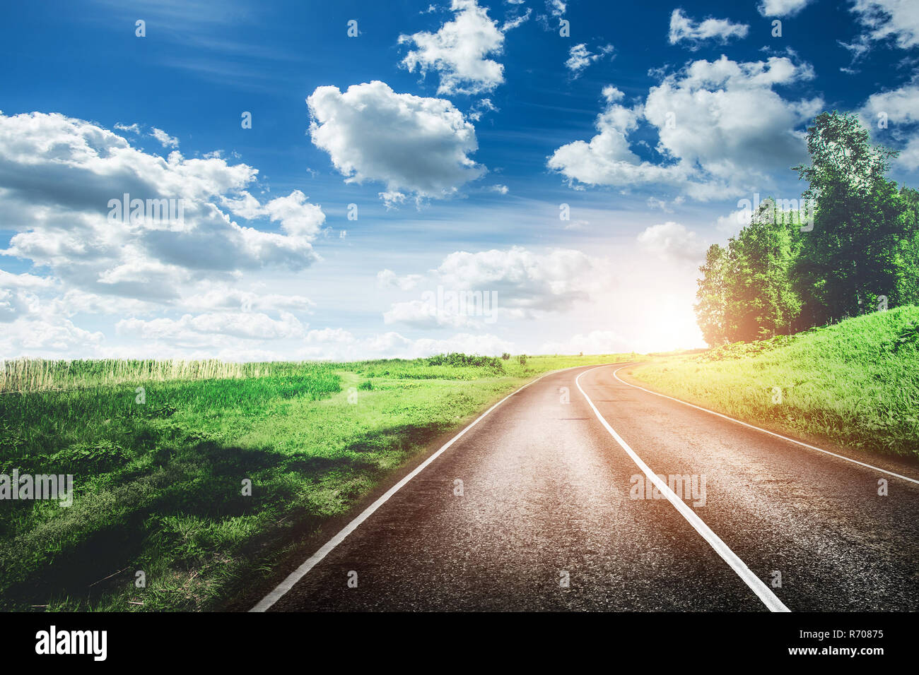 Road in park nature summer background Stock Photo - Alamy