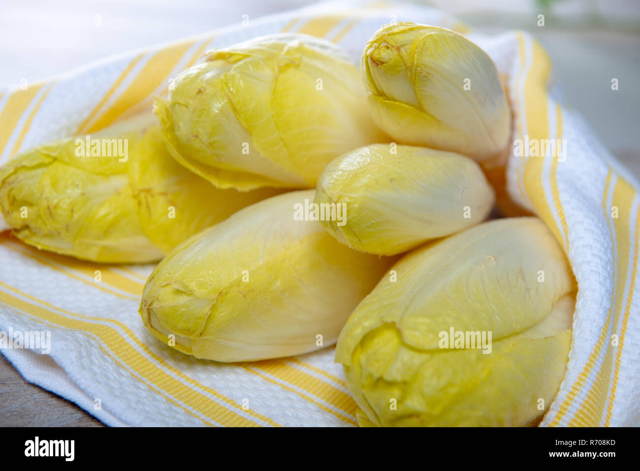 raw organic belgian or french endives Stock Photo - Alamy