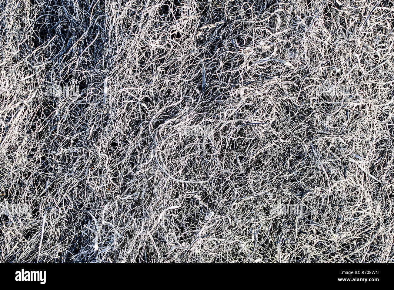 Background texture burnt grass, ash grass Stock Photo - Alamy
