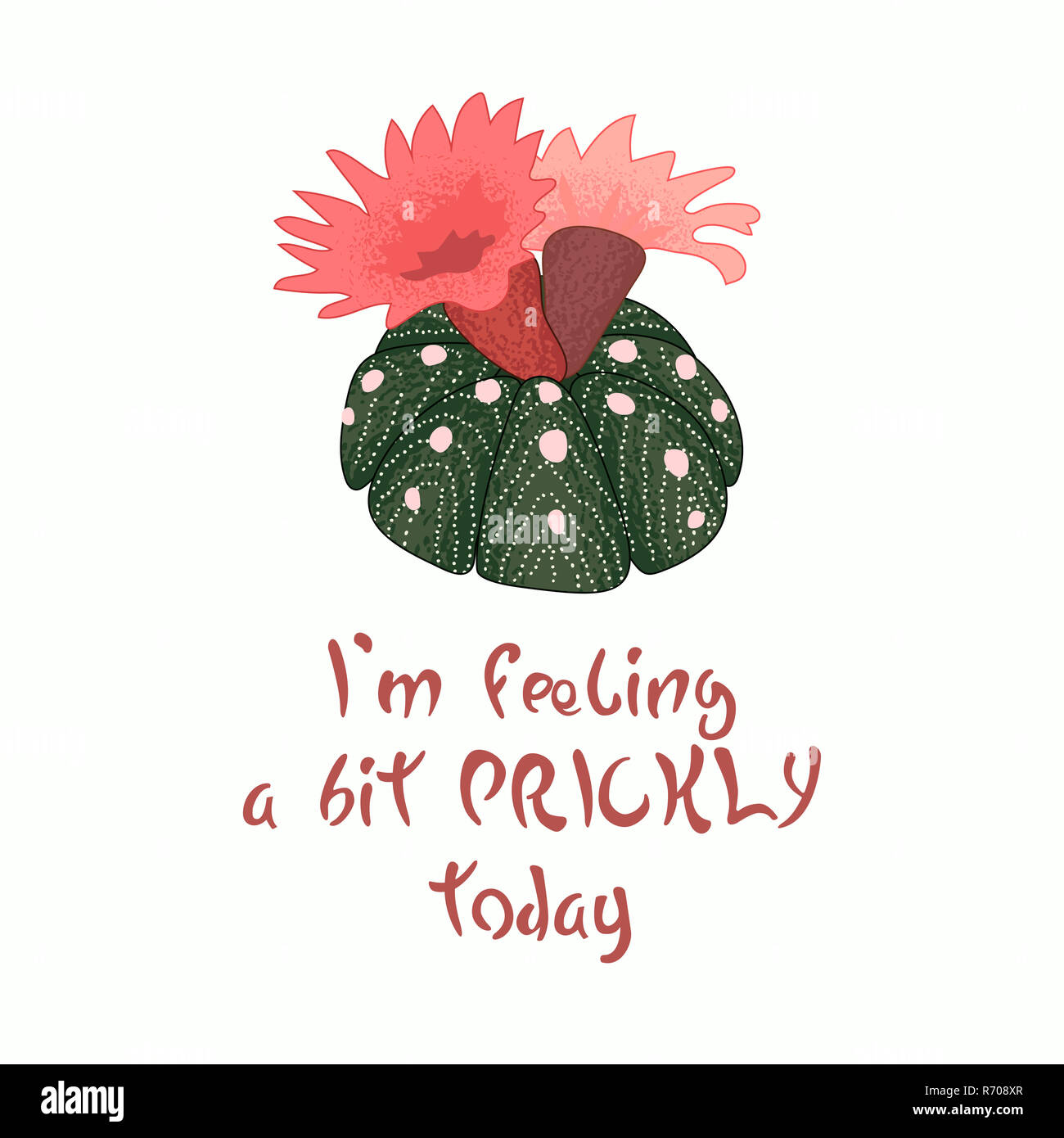 Hand written lettering Message slogan I'm feeling a bit prickly today ...