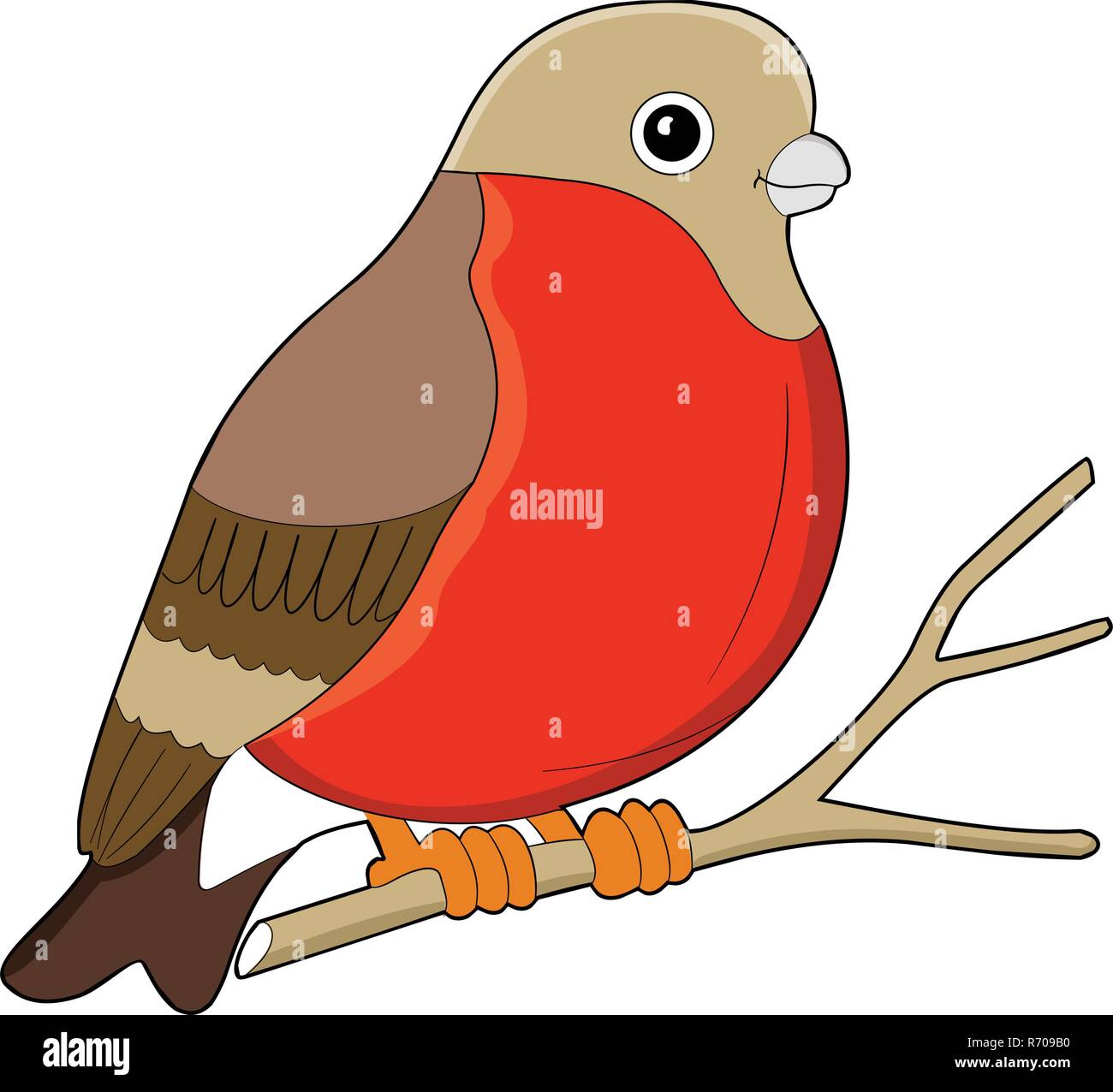 Larawan Ng Ibon Clipart