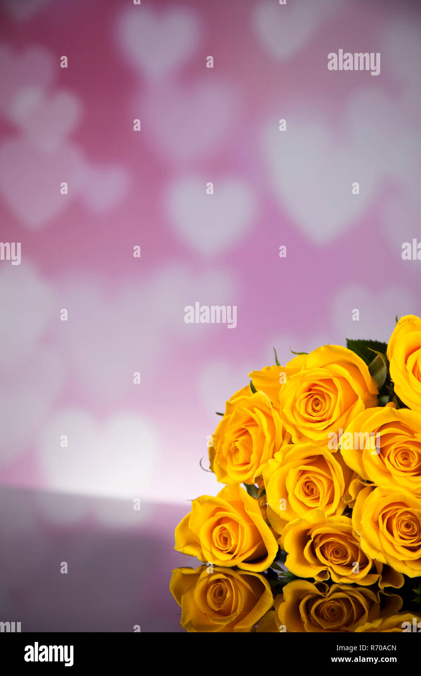 Natural background of fresh roses Stock Photo - Alamy