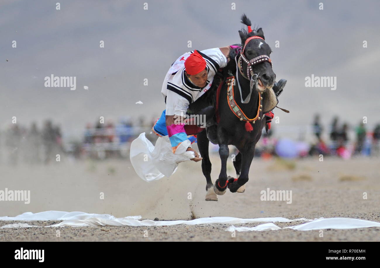 Collecting the horse hi-res stock photography and images - Alamy