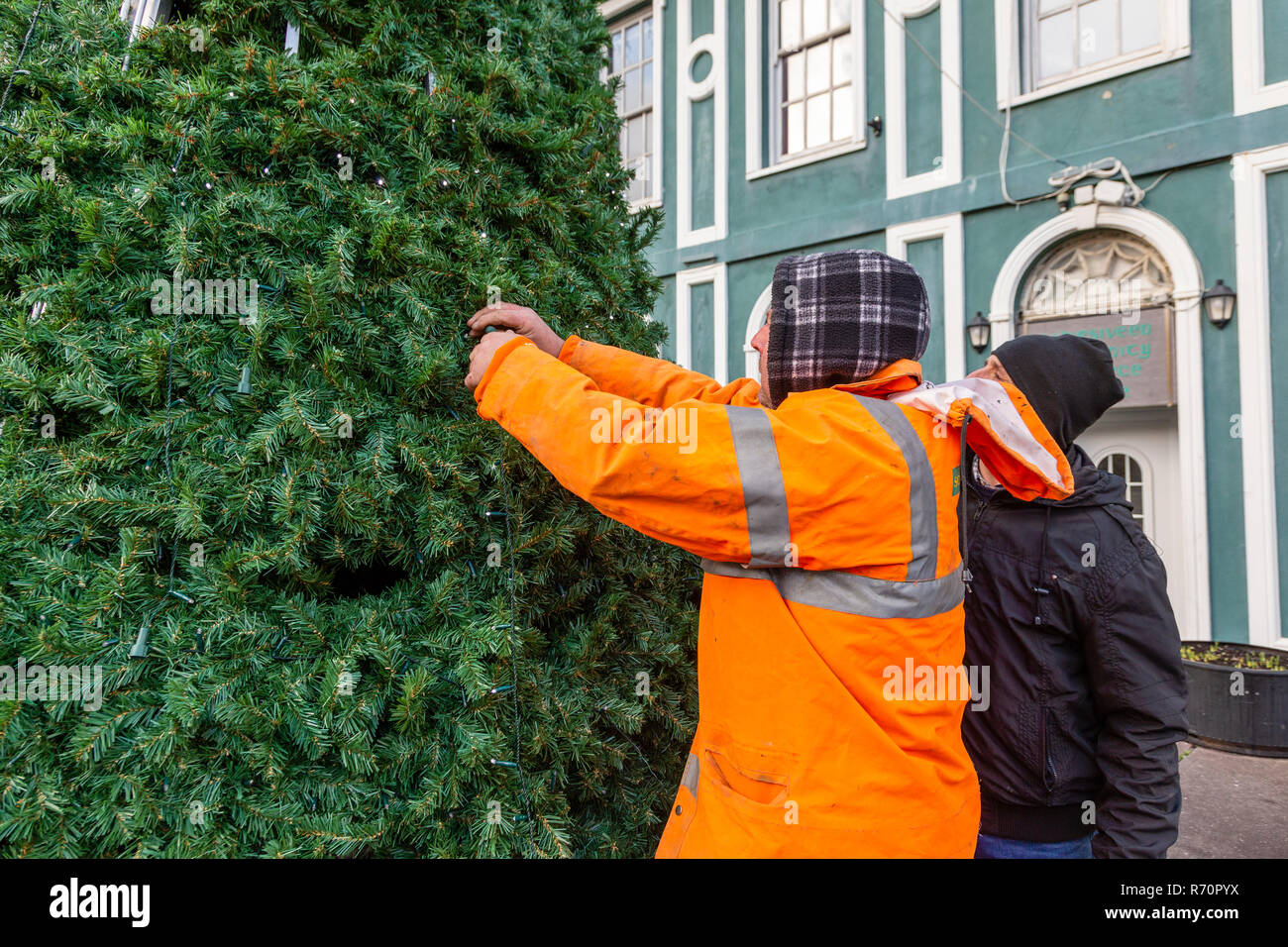 Erecting a christmas tree hi-res stock photography and images - Alamy