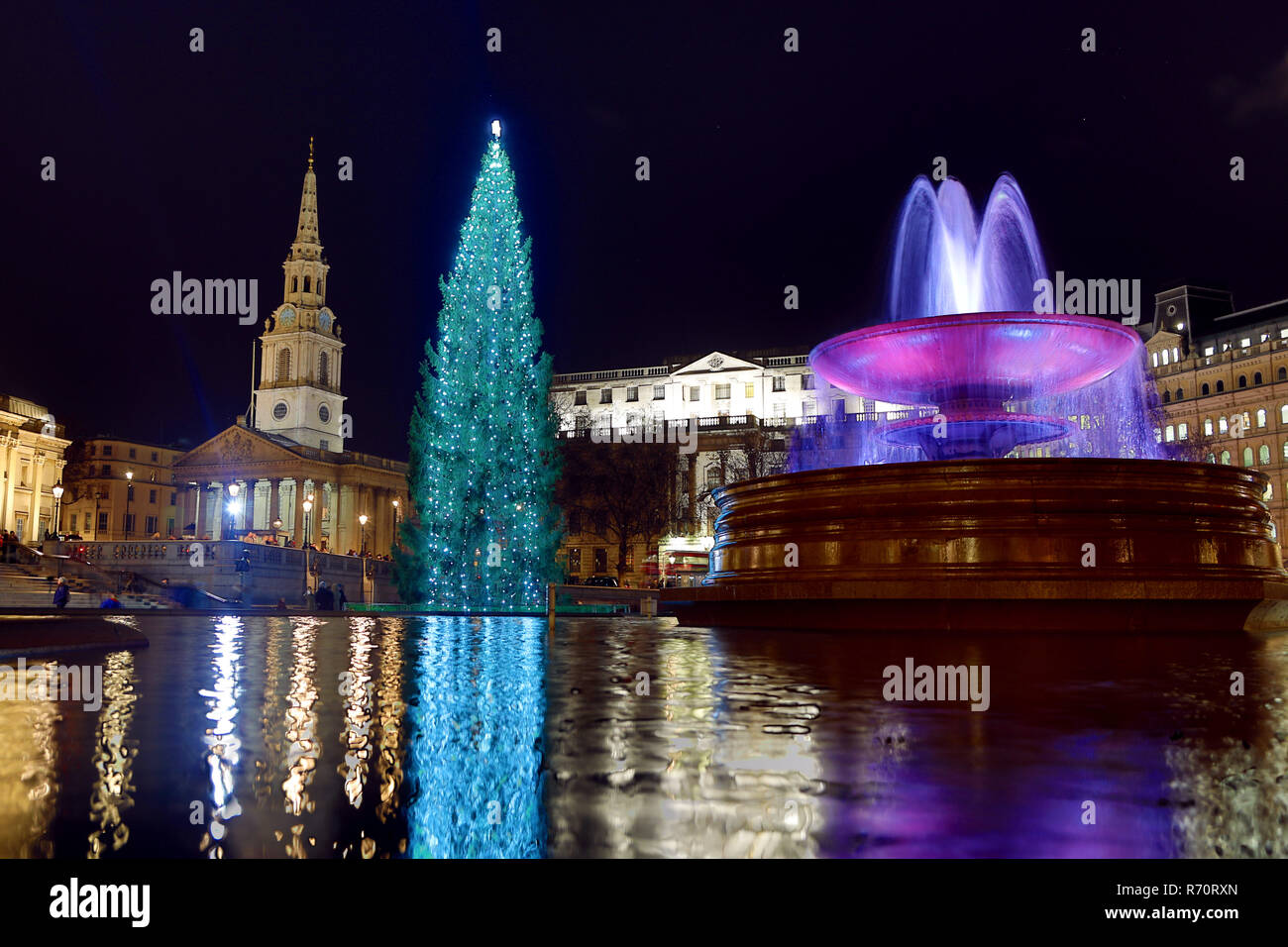 Giant christmas tree trafalgar square london hi-res stock photography ...
