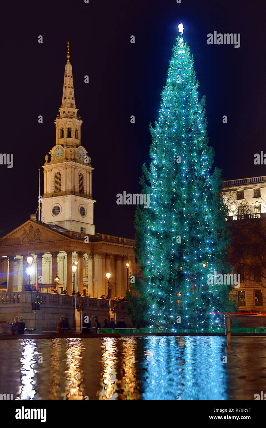 Giant christmas tree trafalgar square london hi-res stock photography ...