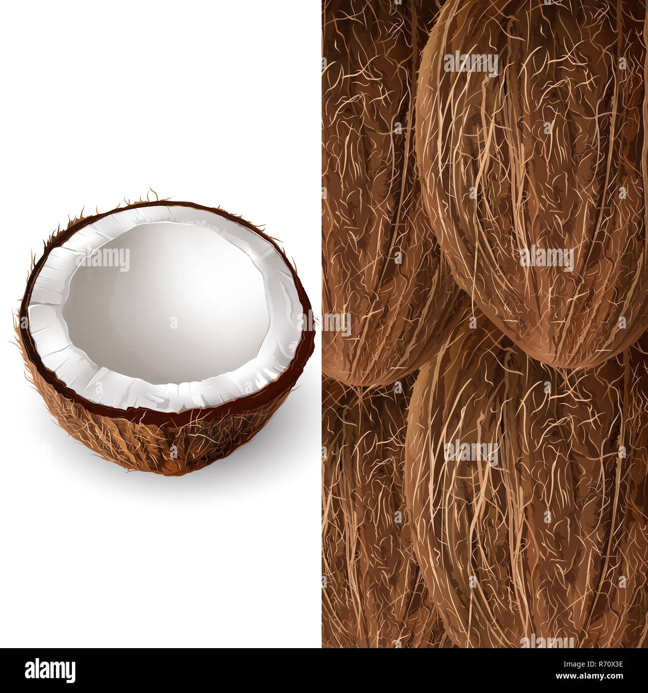 Organic coconut emblem hi-res stock photography and images - Alamy