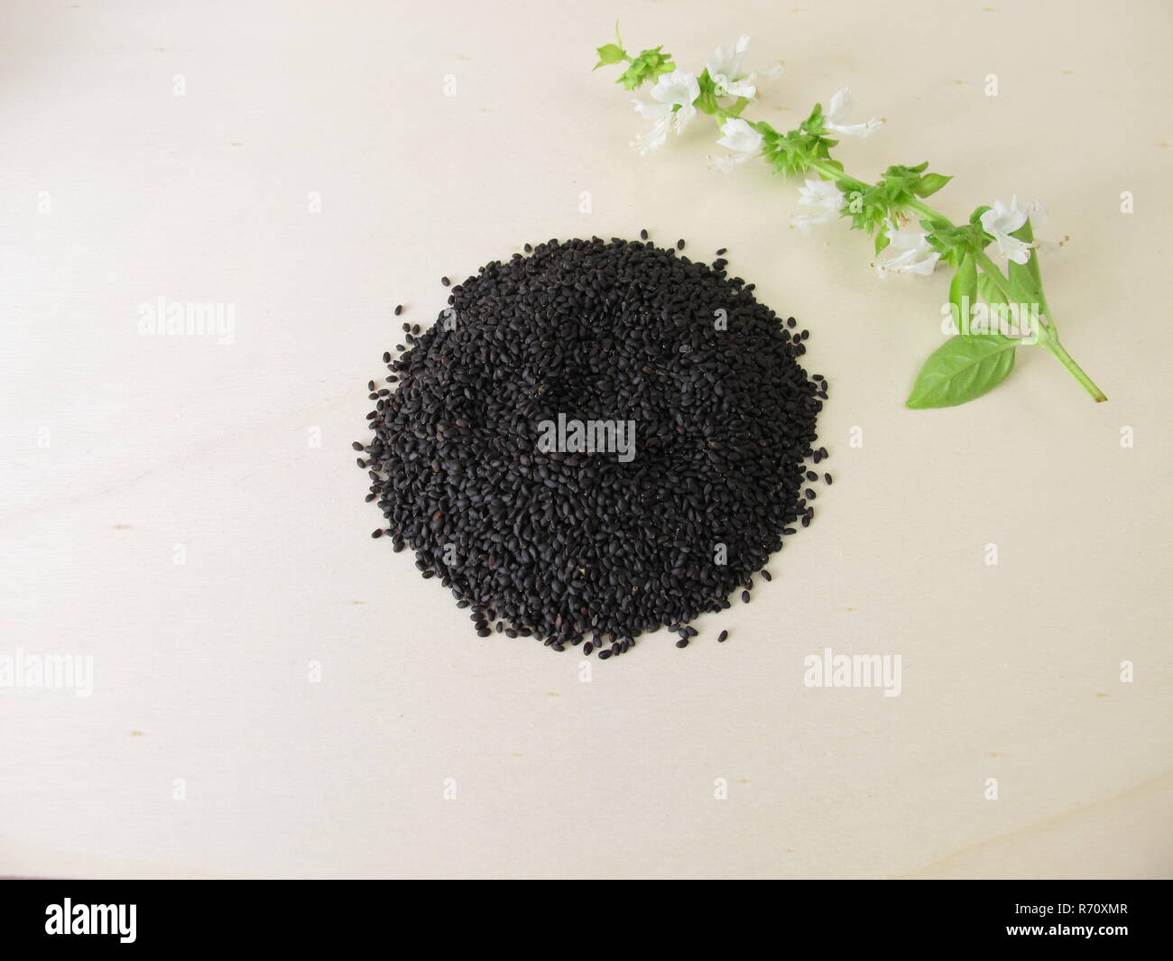 Tukmaria hi-res stock photography and images - Alamy